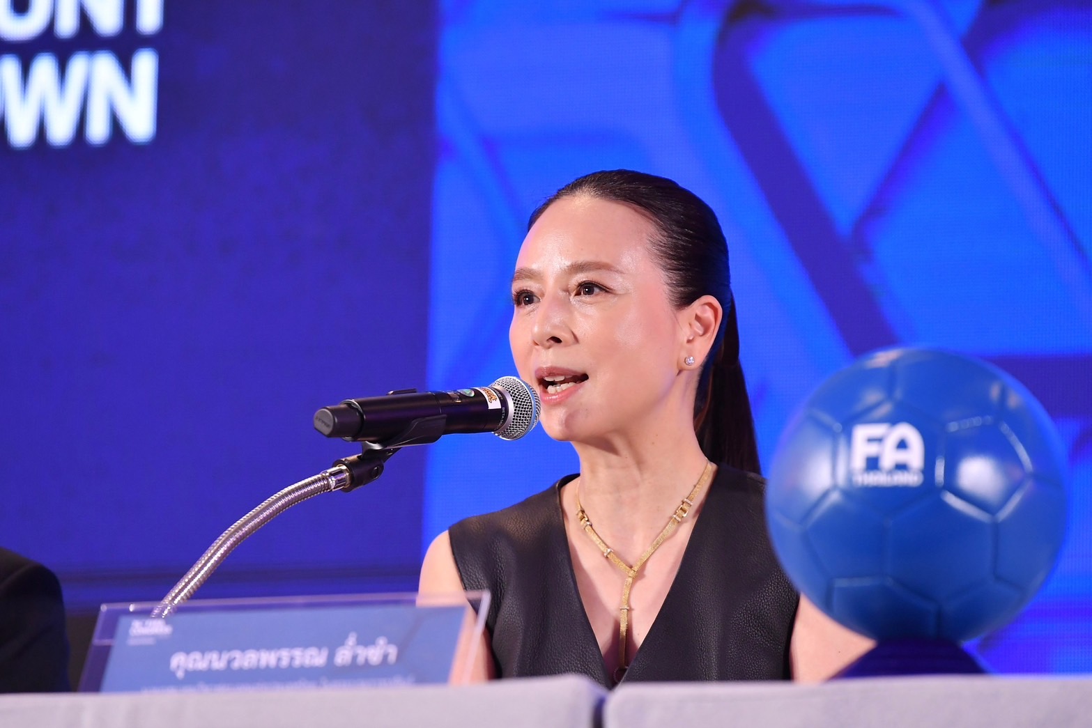 ลิขสิทธิ์ไทยลีก รอฟังข้อสรุป ทรูวิชั่นส์ ไม่เกิน 10 วัน - EKings News